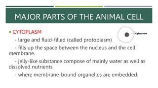 Animal and Plant Cell Parts and Function.pptx | Biological Sciences ...
