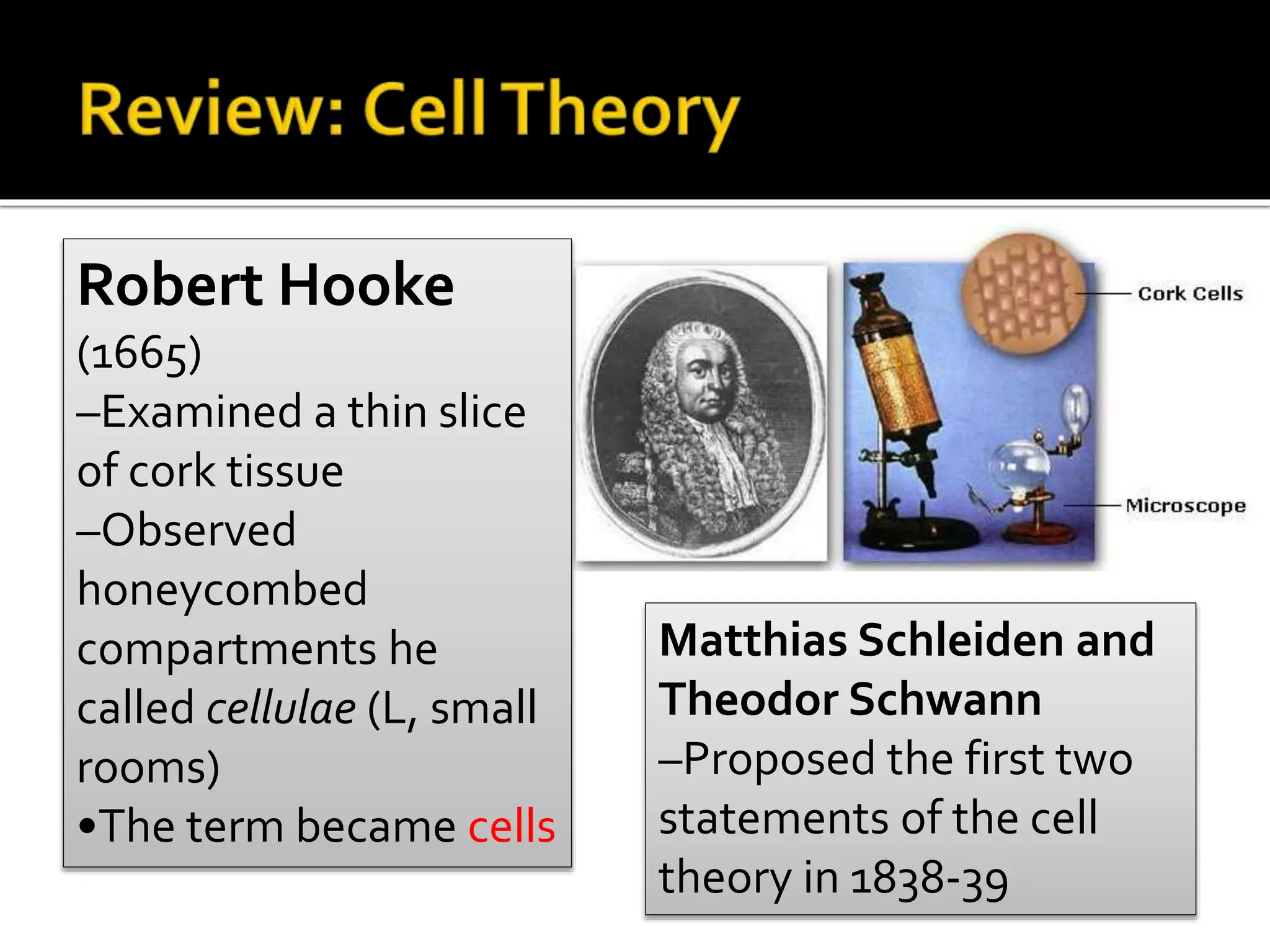CELL - the Theory and comparison between animal and plant cell.pptx