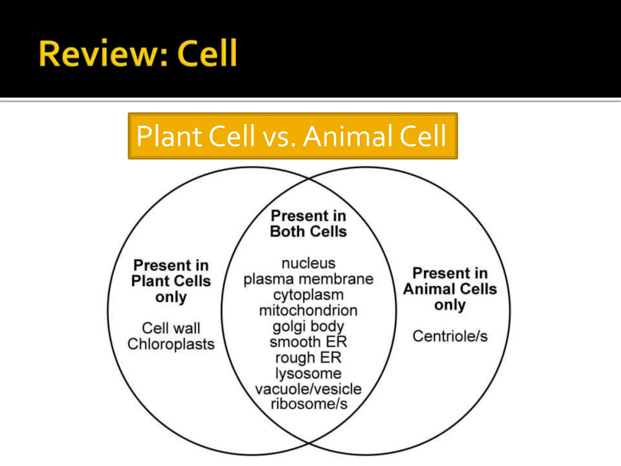CELL - the Theory and comparison between animal and plant cell.pptx