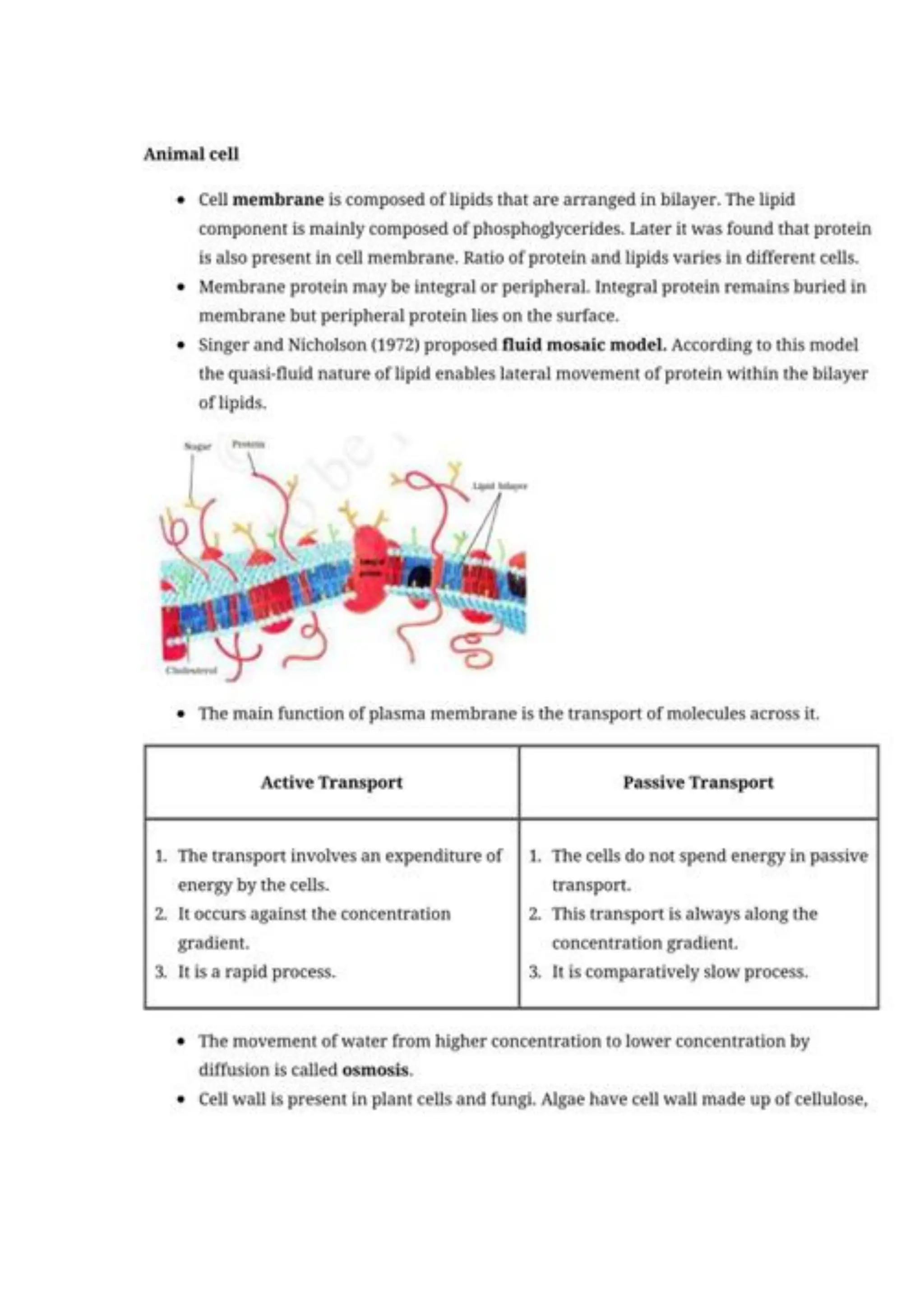 | BIOLOGY | CHAPTER: CELL THE UNIT OF LIFE | | PDF