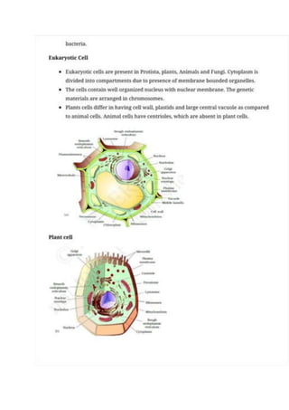 | BIOLOGY | CHAPTER: CELL THE UNIT OF LIFE | | PDF
