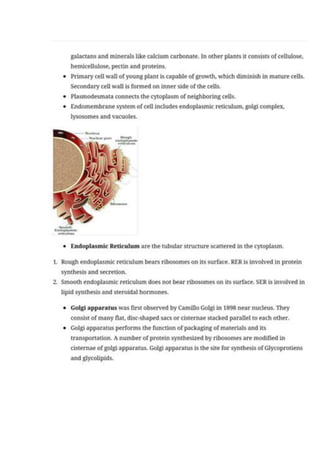 | BIOLOGY | CHAPTER: CELL THE UNIT OF LIFE | | PDF