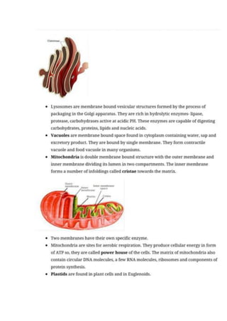 | BIOLOGY | CHAPTER: CELL THE UNIT OF LIFE | | PDF