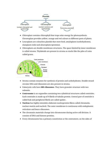 | BIOLOGY | CHAPTER: CELL THE UNIT OF LIFE | | PDF