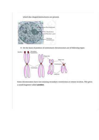 | BIOLOGY | CHAPTER: CELL THE UNIT OF LIFE | | PDF