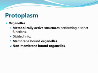 Cell. Human anatomy for med students .pptx