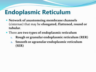 Cell. Human anatomy for med students .pptx