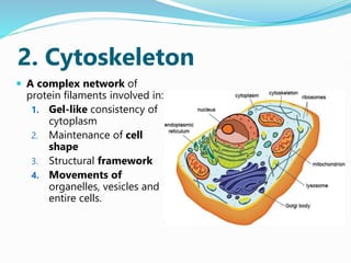 Cell. Human anatomy for med students .pptx