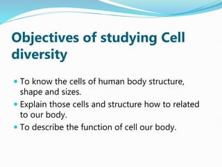 Cell. Human anatomy for med students .pptx