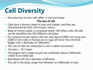 Cell. Human anatomy for med students .pptx