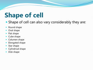 Cell. Human anatomy for med students .pptx
