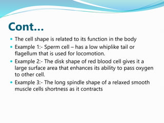 Cell. Human anatomy for med students .pptx