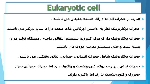 Cell normal human body cell structure and multiple more information ...