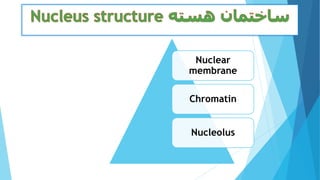 Cell normal human body cell structure and multiple more information ...
