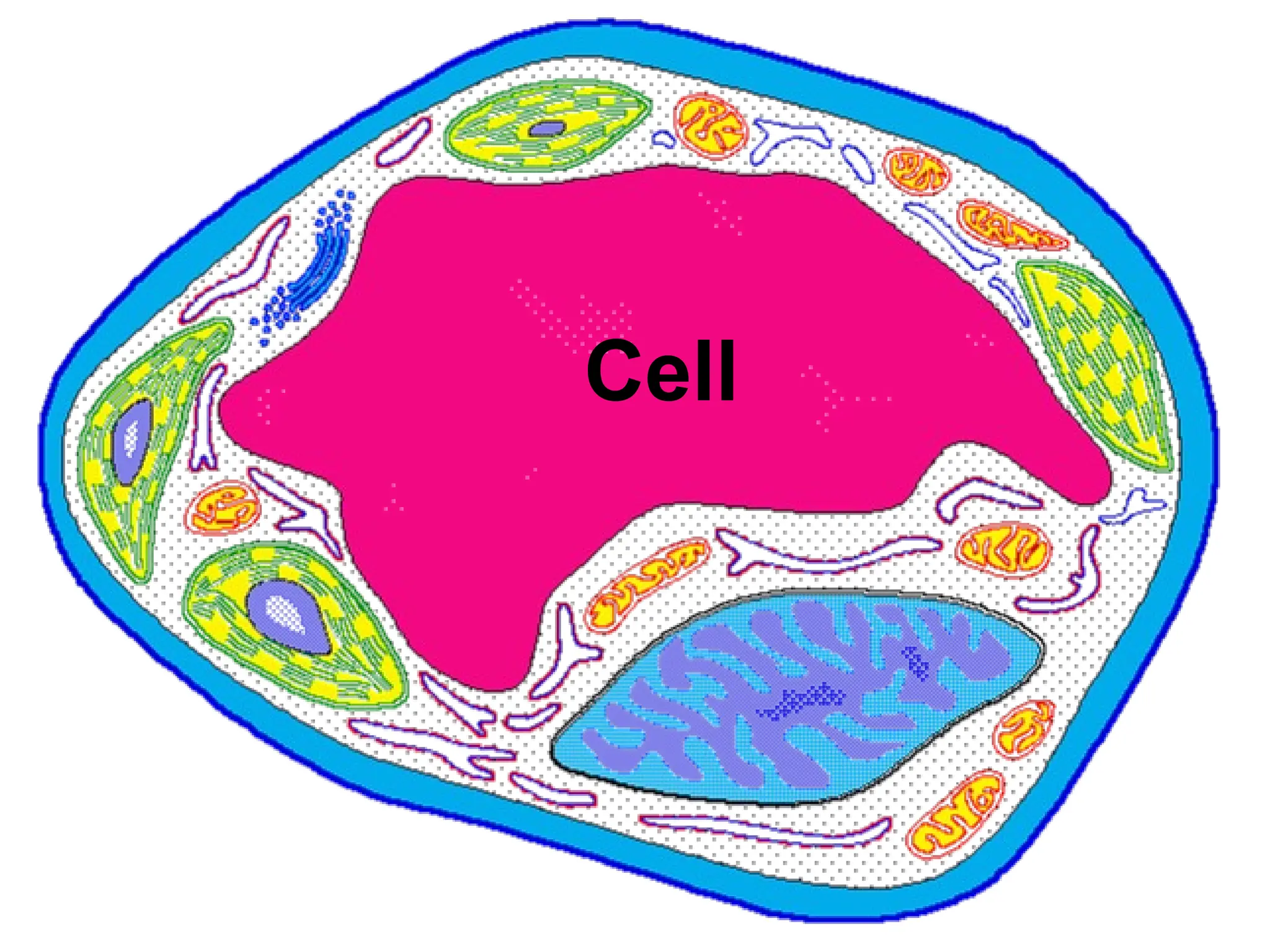 Cell explanation and structure of cell.ppt
