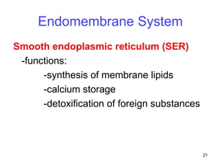 Cell explanation and structure of cell.ppt