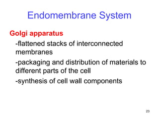 Cell explanation and structure of cell.ppt