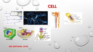 CELL PELAJARAN BIOLOGI ATAU IPA SMP, BERBAGAI JENIS SEL | PPT