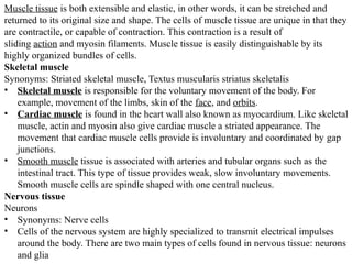 Human cell and Yogashastra slide in detail | PPT