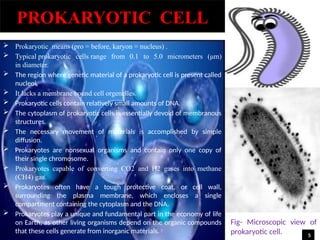 Basic on about prokaryotic vs eukaryotic cells. | PPTX