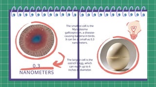 parts and functions of the cell and cell theory | PPT