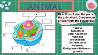 parts and functions of the cell and cell theory | PPTX