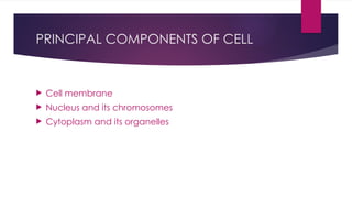 Cell, cell organelles, cytoplasm,cytosol | PPTX