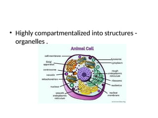 cell structure, components and their functions | PPTX