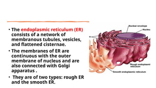 CELL,CELL MEMBRANE,ENDOPLASMIC RETICULUM AND GOLGI APPARATUS | PPTX
