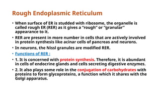 CELL,CELL MEMBRANE,ENDOPLASMIC RETICULUM AND GOLGI APPARATUS | PPTX