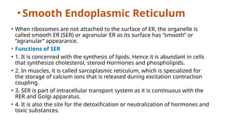 CELL,CELL MEMBRANE,ENDOPLASMIC RETICULUM AND GOLGI APPARATUS | PPTX