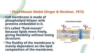 CELL,CELL MEMBRANE,ENDOPLASMIC RETICULUM AND GOLGI APPARATUS | PPTX
