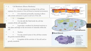 cell. its organells plasma membrane and its model | PPTX
