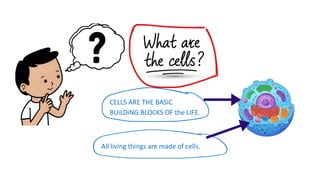 Understanding Cell Structure and Functions: The Building Blocks of Life ...