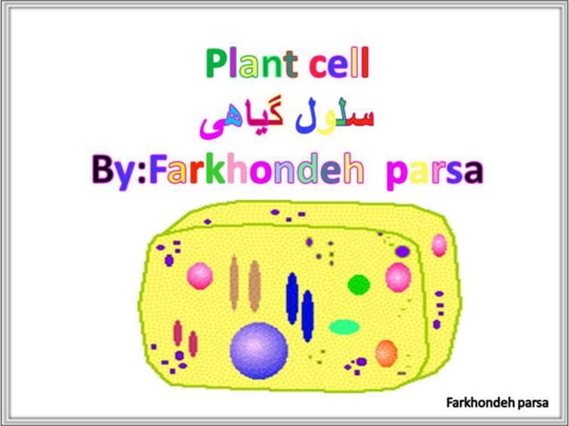 plant Cell | PPTX