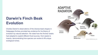 Cell-and-its-Types [Auto-saved].pptbasics in biologyx | PPT