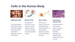 Cell-and-its-Types [Auto-saved].pptbasics in biologyx | PPT