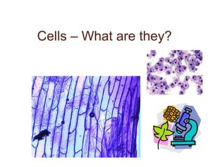 Cell as basic unit of life.ppt