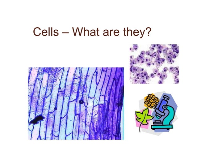 Cell as basic unit of life.ppt