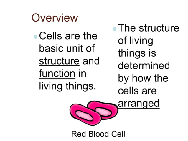 Cell as basic unit of life.ppt