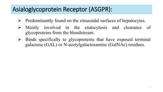 Cell-Based Targeting to Hepatocytes. | PPTX