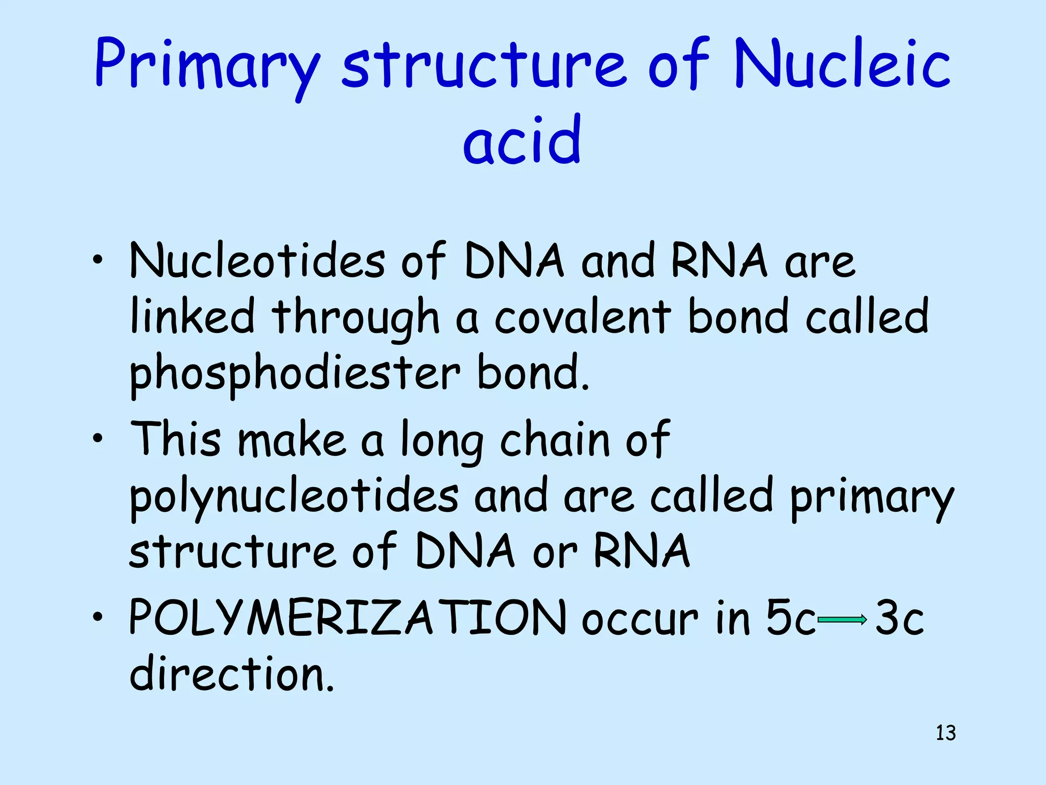 Structure of Nucleic acids | PPT | Chemistry | Science
