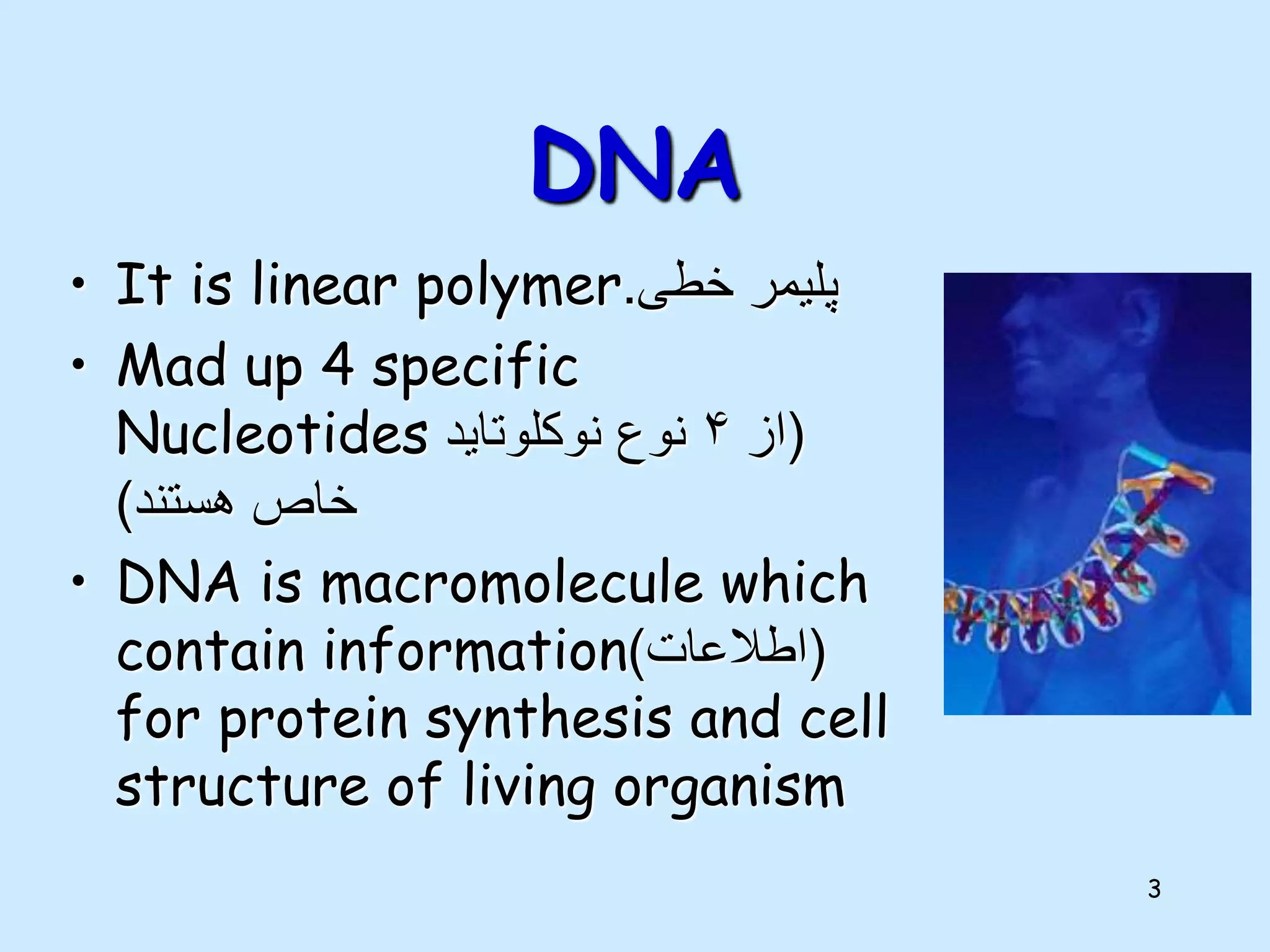 Structure of Nucleic acids | PPT | Chemistry | Science
