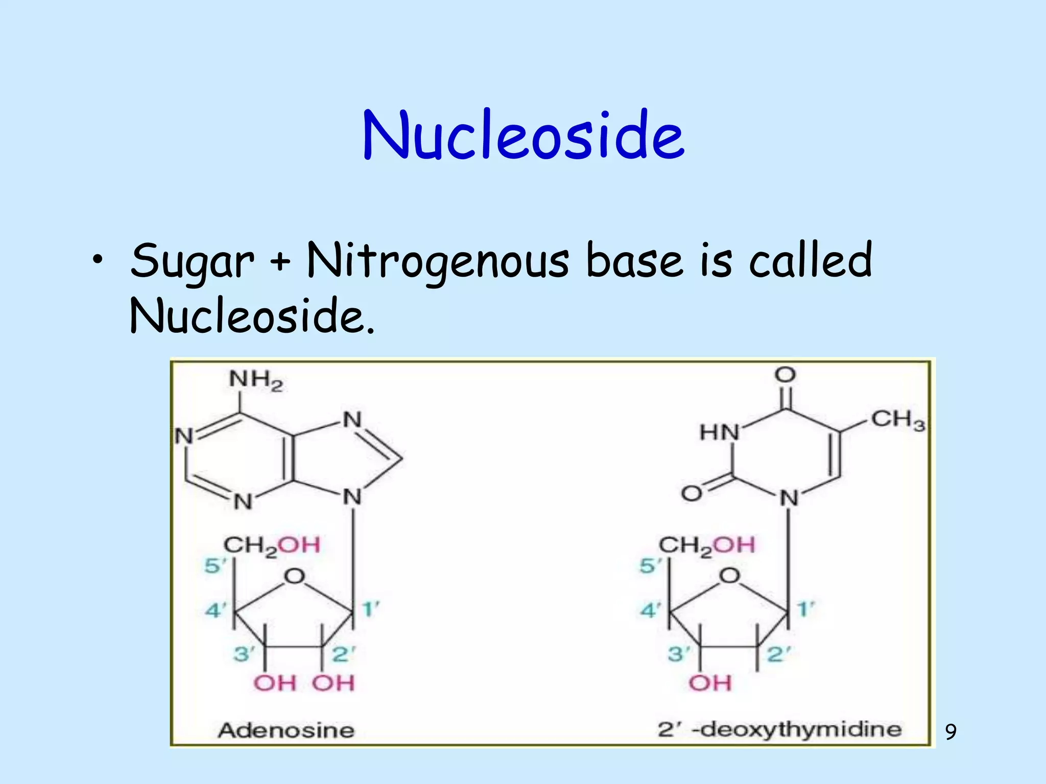 Structure of Nucleic acids | PPT | Chemistry | Science