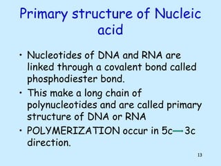 Structure of Nucleic acids | PPT | Chemistry | Science