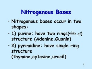 Structure of Nucleic acids | PPT | Chemistry | Science
