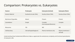 Cell-Biology-Structure-and-Function.pptx