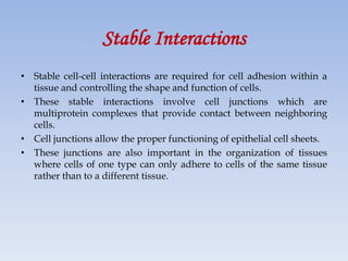 Cell cell interaction | PPTX