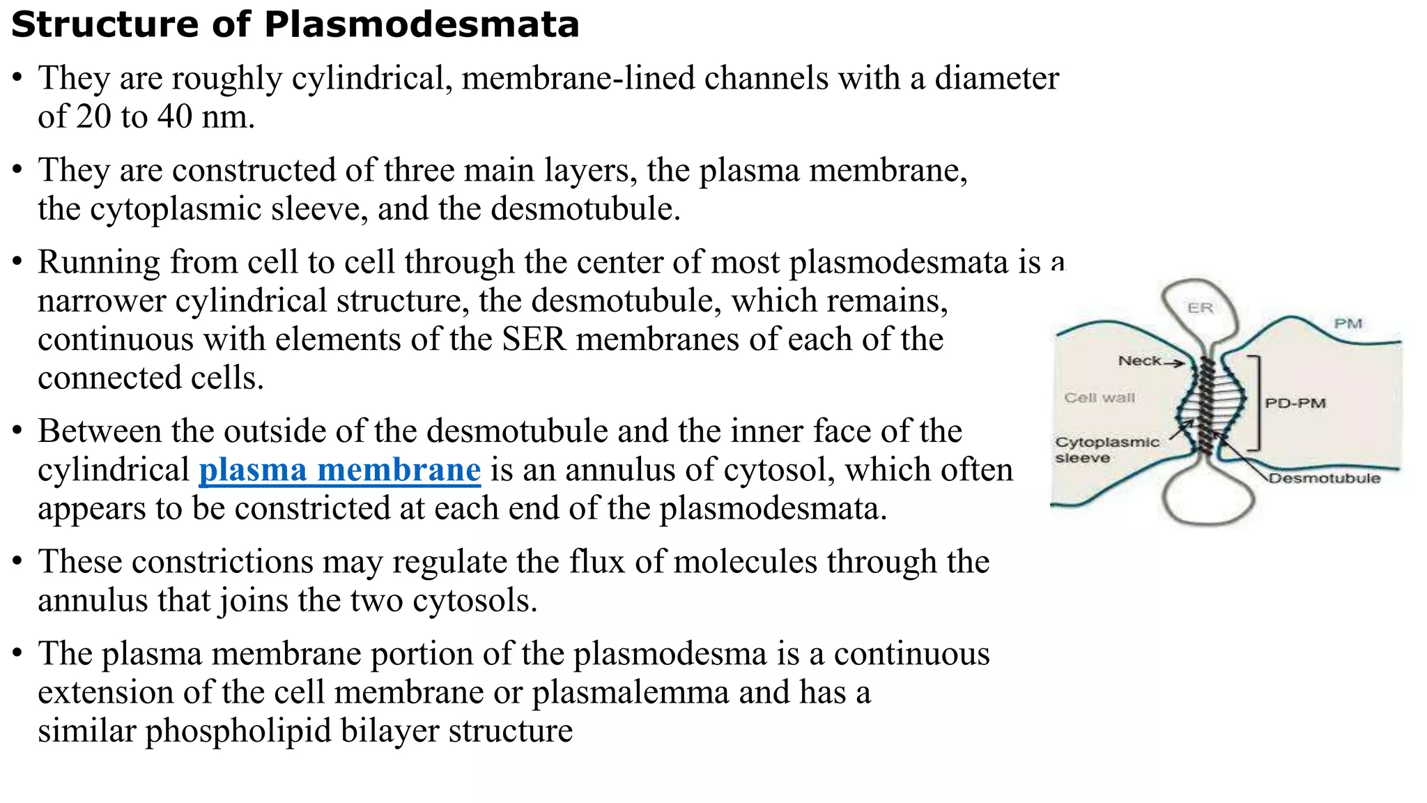 Cell cell interactions | PPTX