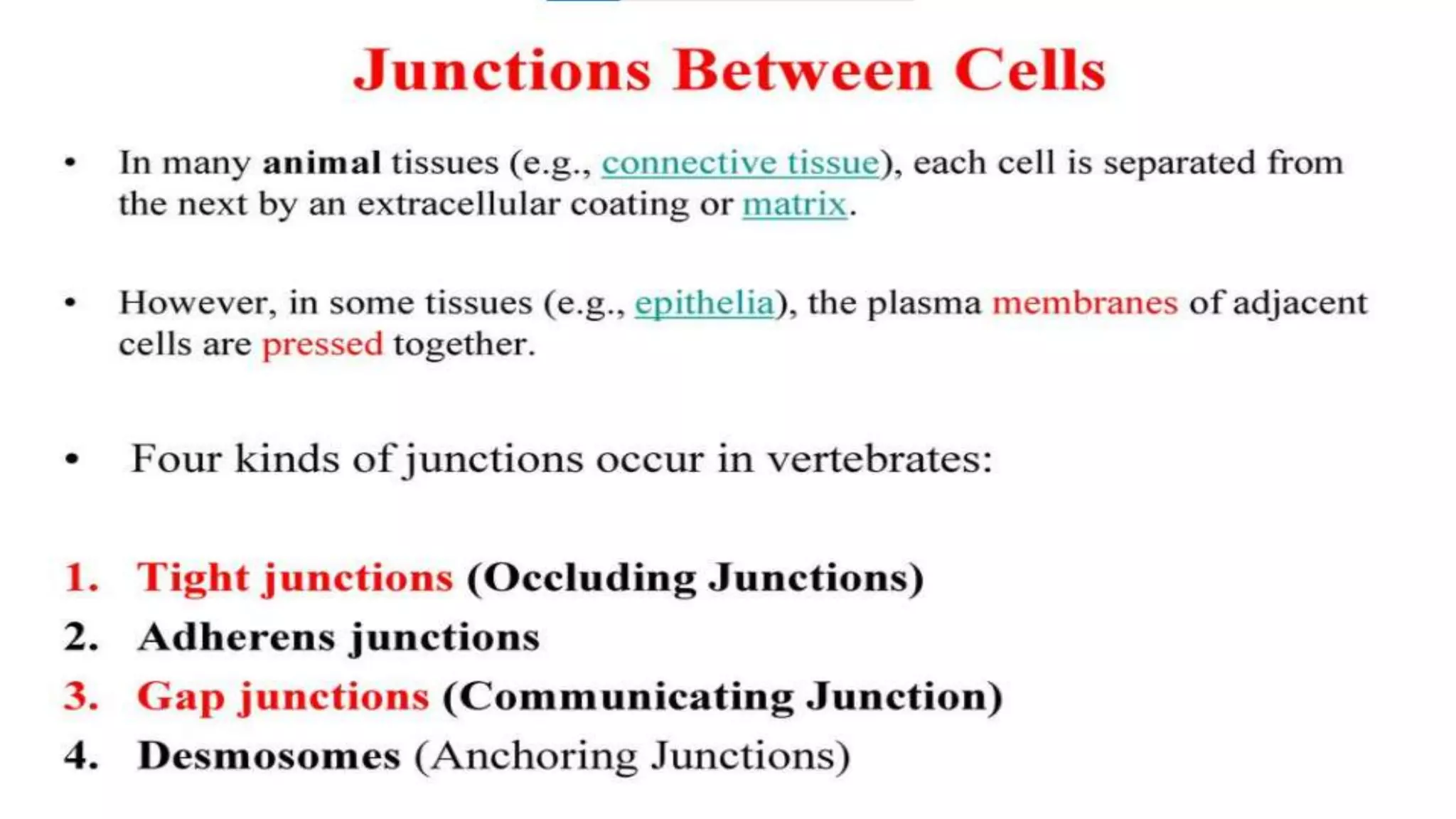 Cell cell interactions | PPTX